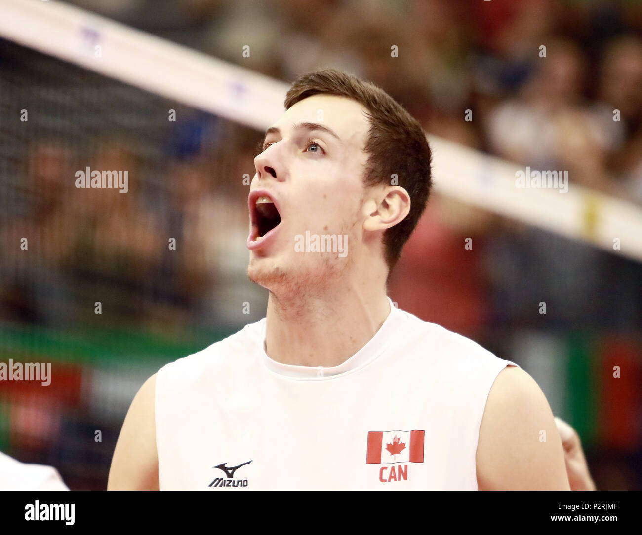 Preliminary talk hi-res stock photography and images - Alamy