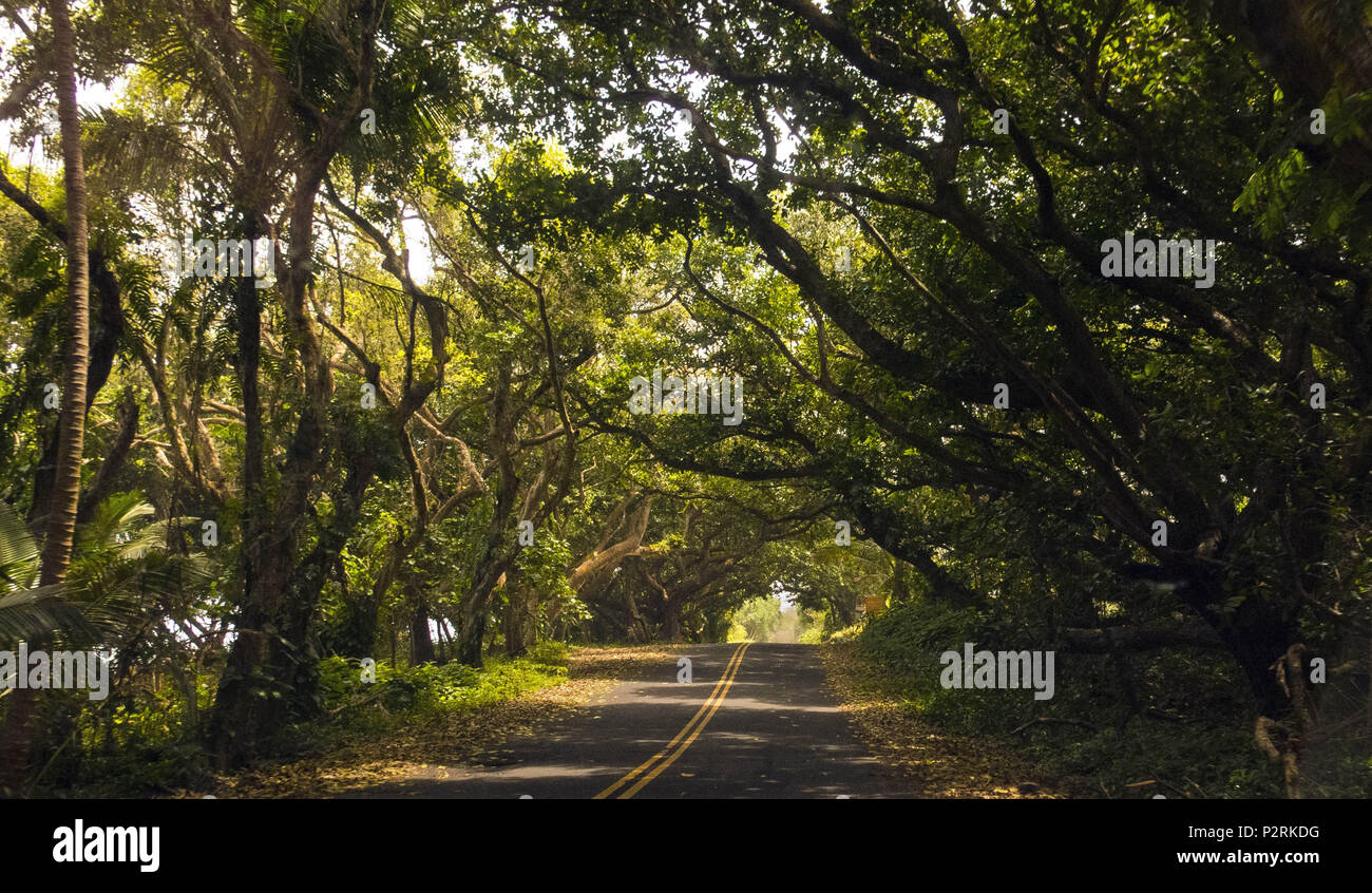 Kalapana kapoho road hi-res stock photography and images - Alamy