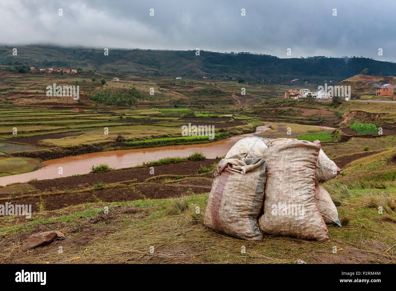 Madagascar, Central Highlands, Antsirabe region, rice fields to ...