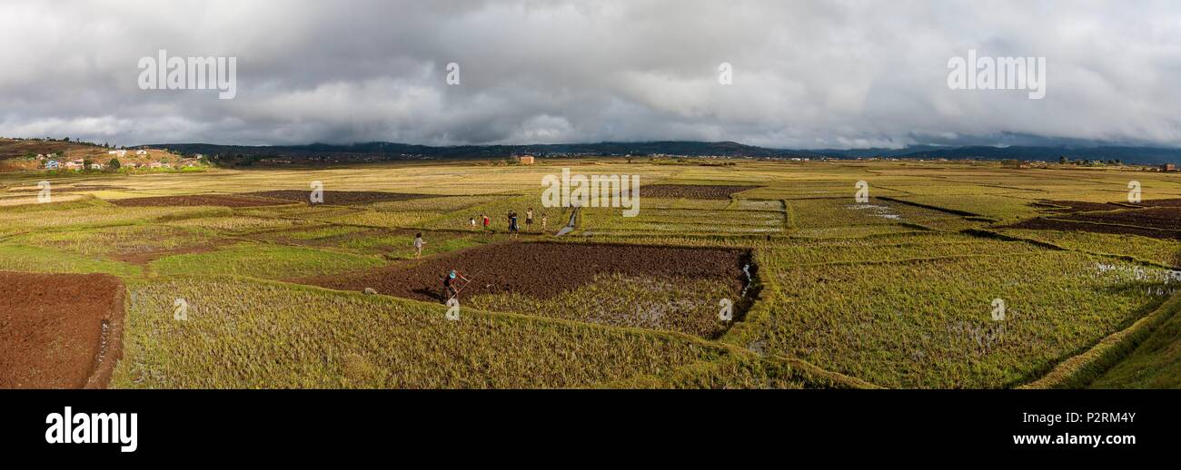 Madagascar, Central Highlands, Antsirabe region, rice fields to ...