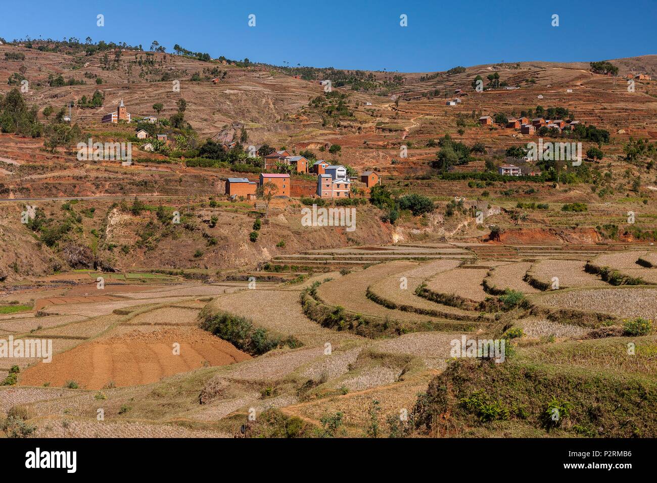 Madagascar, Central Highlands, Antsirabe region, rice fields to ...