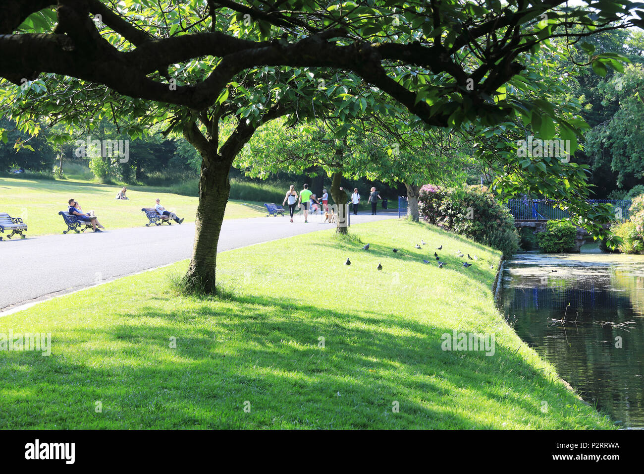 Sefton Park Liverpool Lake High Resolution Stock Photography and Images ...