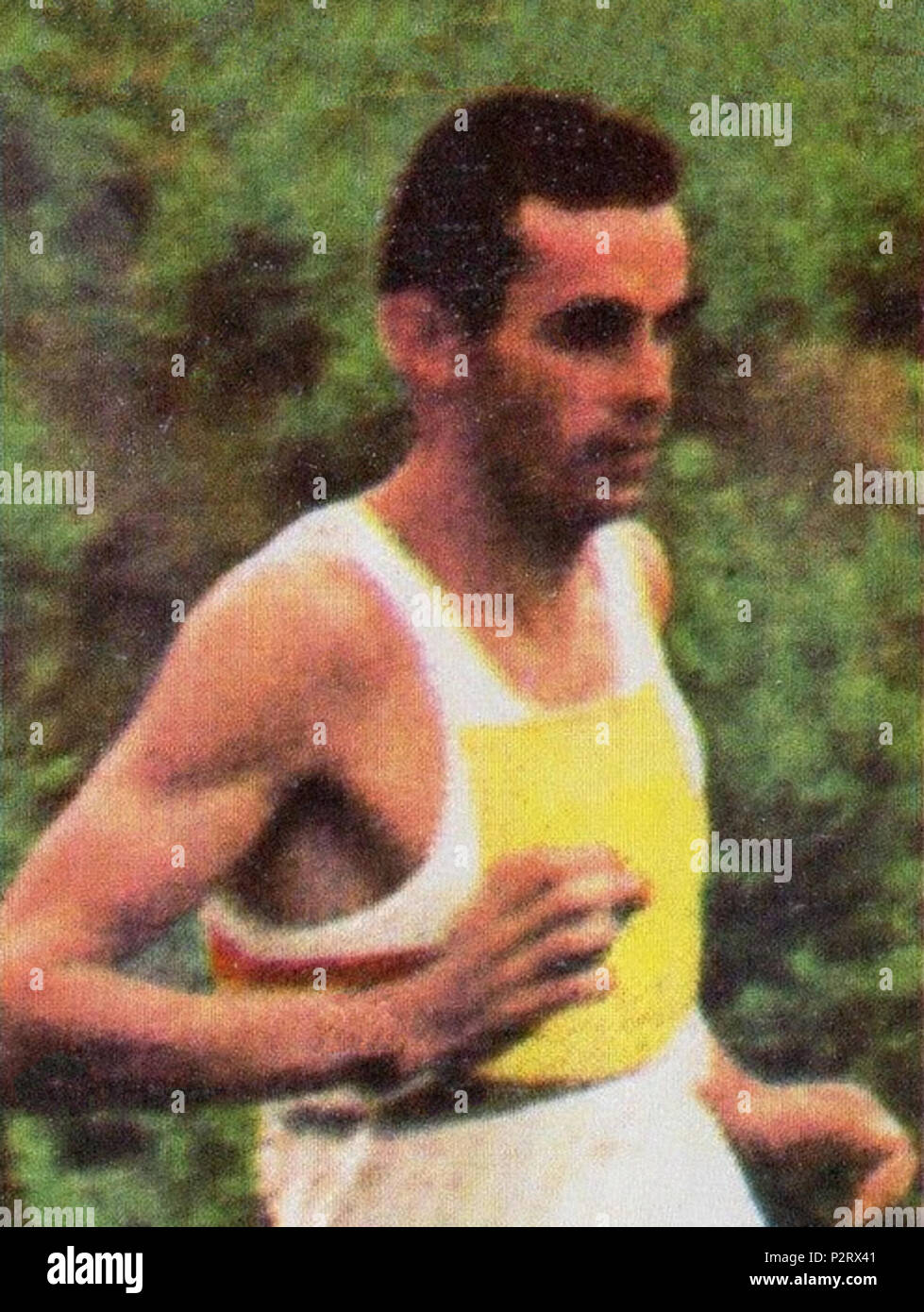 7 András Balczó 1972 Stock Photo - Alamy