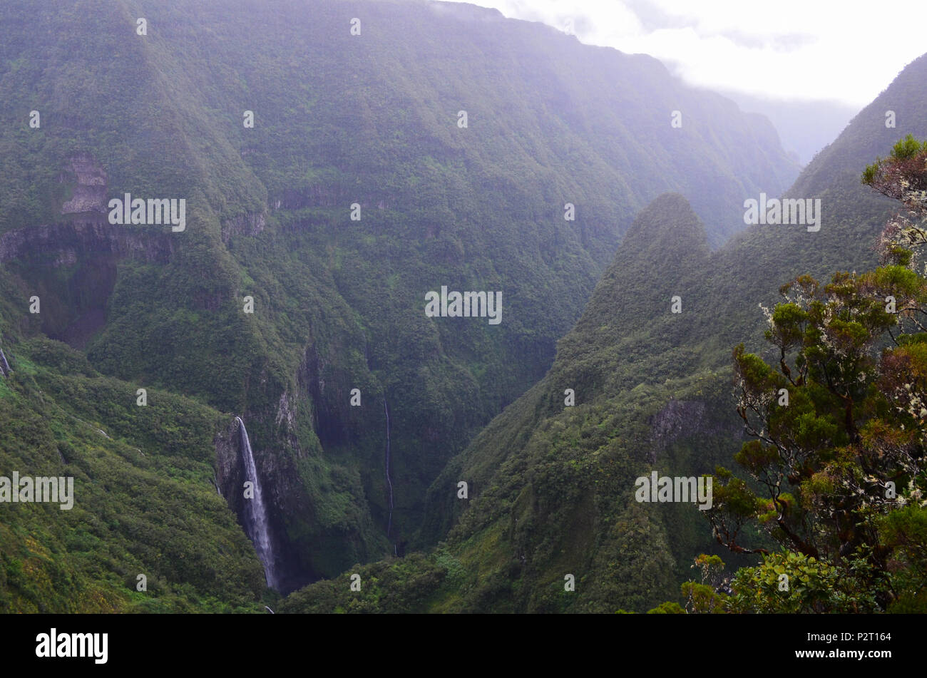 Parc National De La Reunion Reunion National Park High Resolution Stock ...