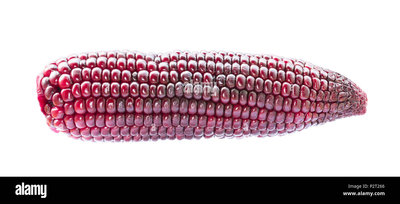 Purple corn isolated on white background Stock Photo - Alamy