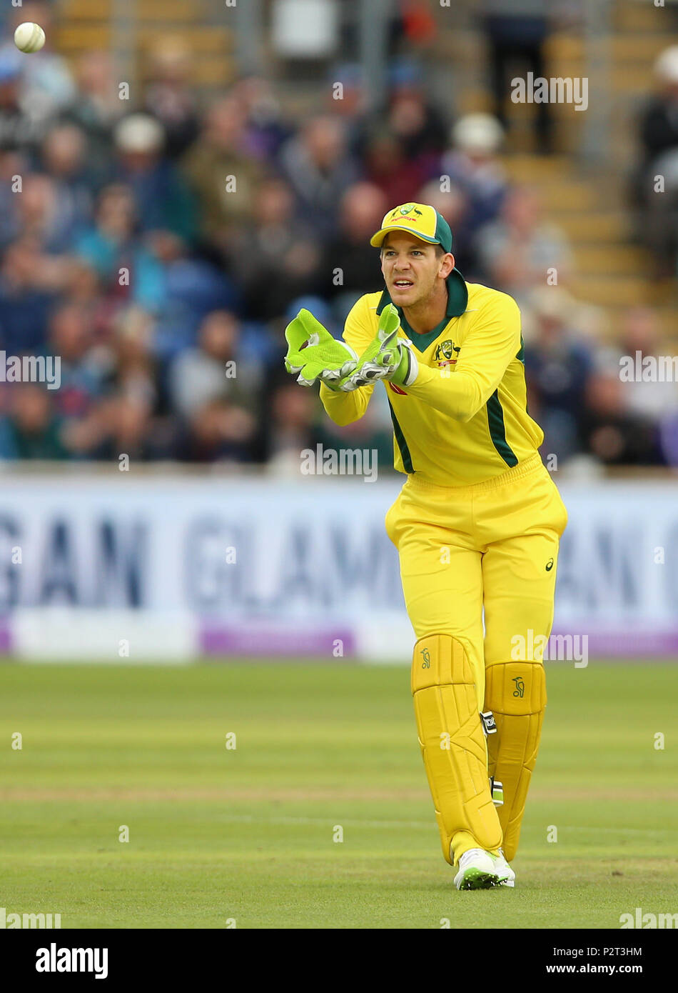 Australia's Tim Paine during the One Day International match at the SSE ...