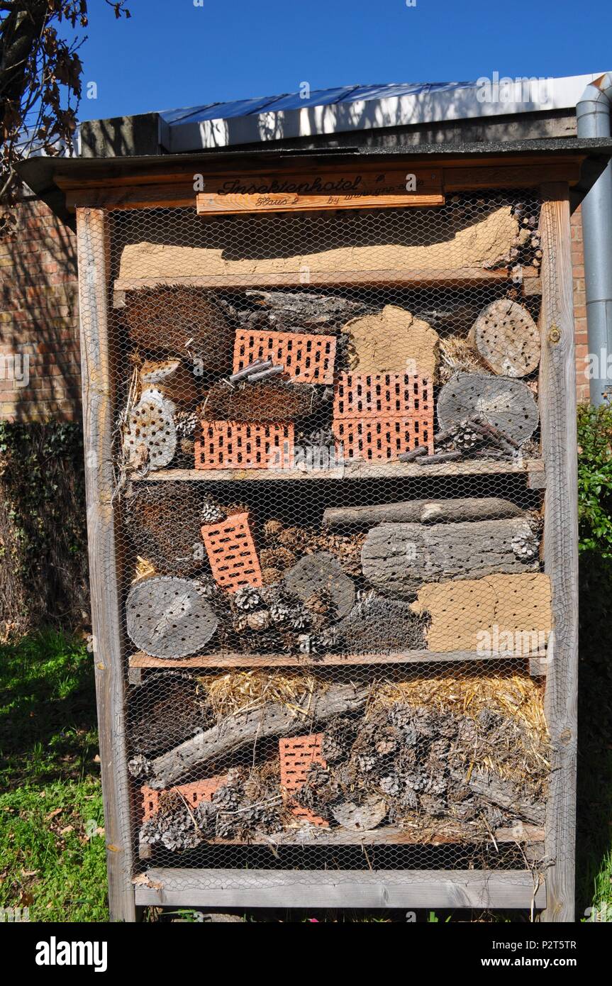 Hotel for insects hi-res stock photography and images - Alamy