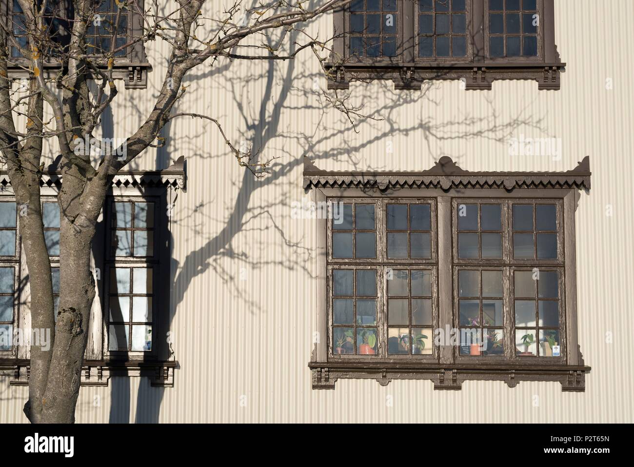 Iceland, Capital Region, Reykjavik, traditional painted sheet metal ...