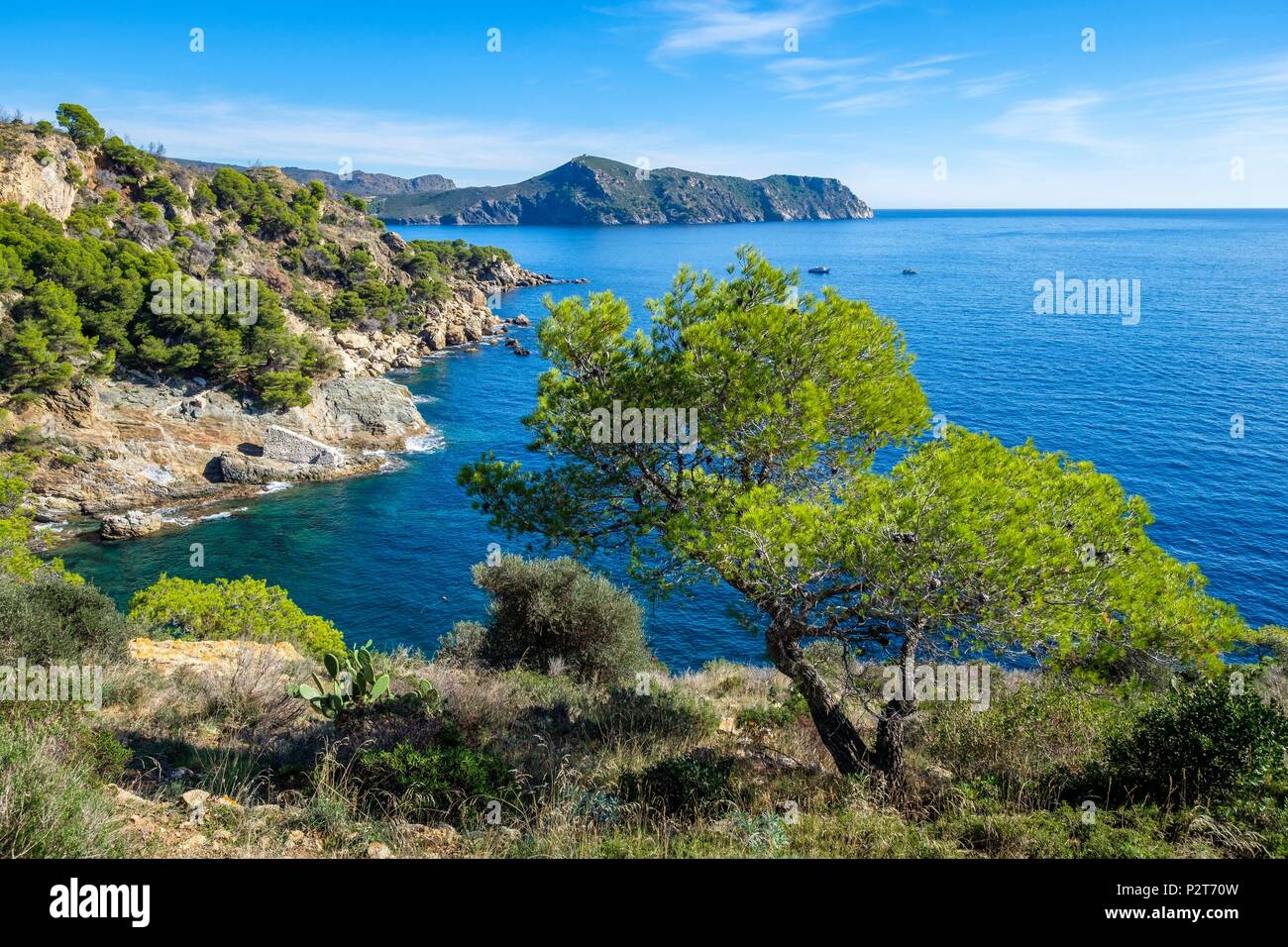 Spain, Catalonia, hiking from Roses to Cadaques on the GR 92 and ...