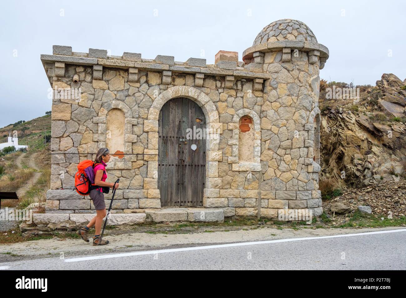 Border coll hi-res stock photography and images - Alamy