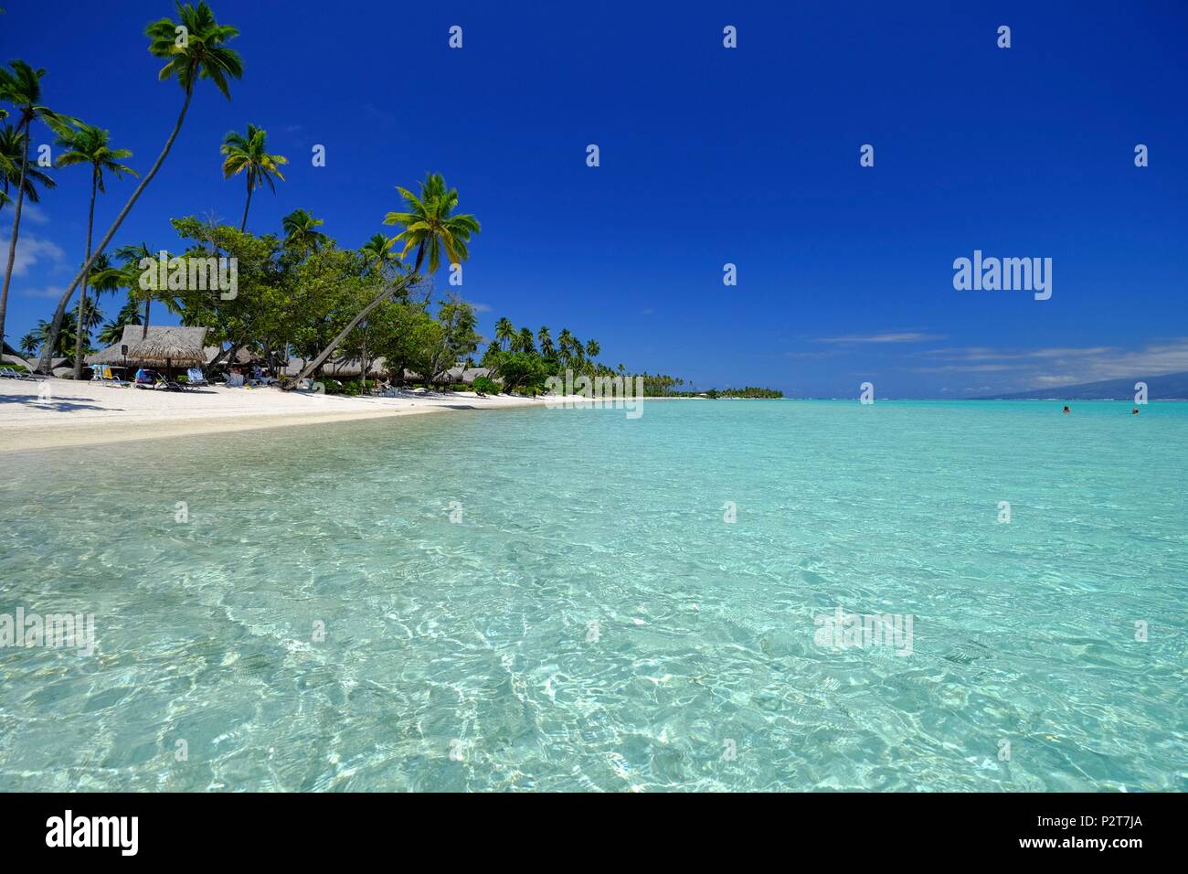 France, French Polynesia, Society Islands, Windward Islands, Moorea ...