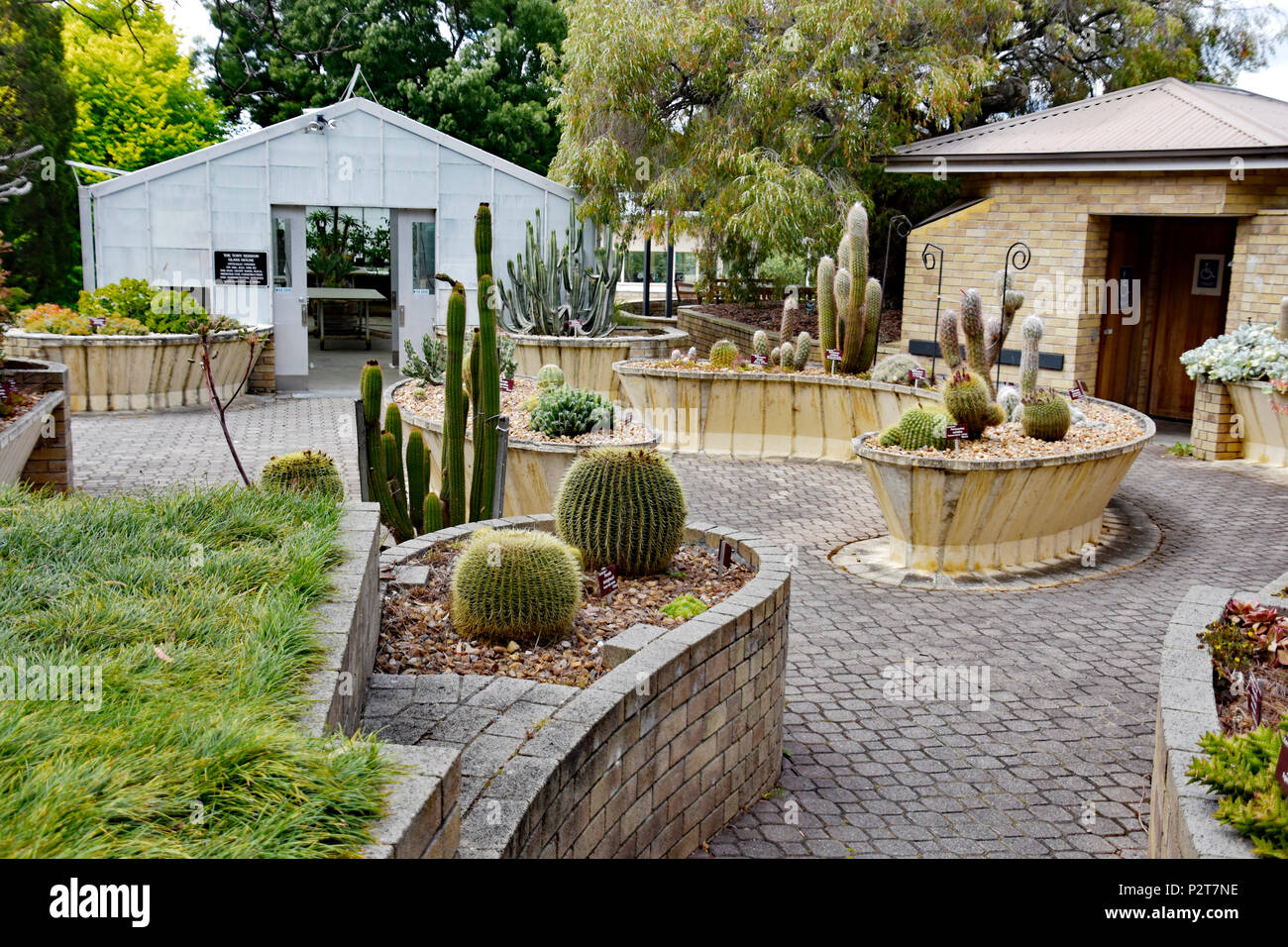 succulents SUCCULENT AND CACTI GARDENS Stock Photo - Alamy