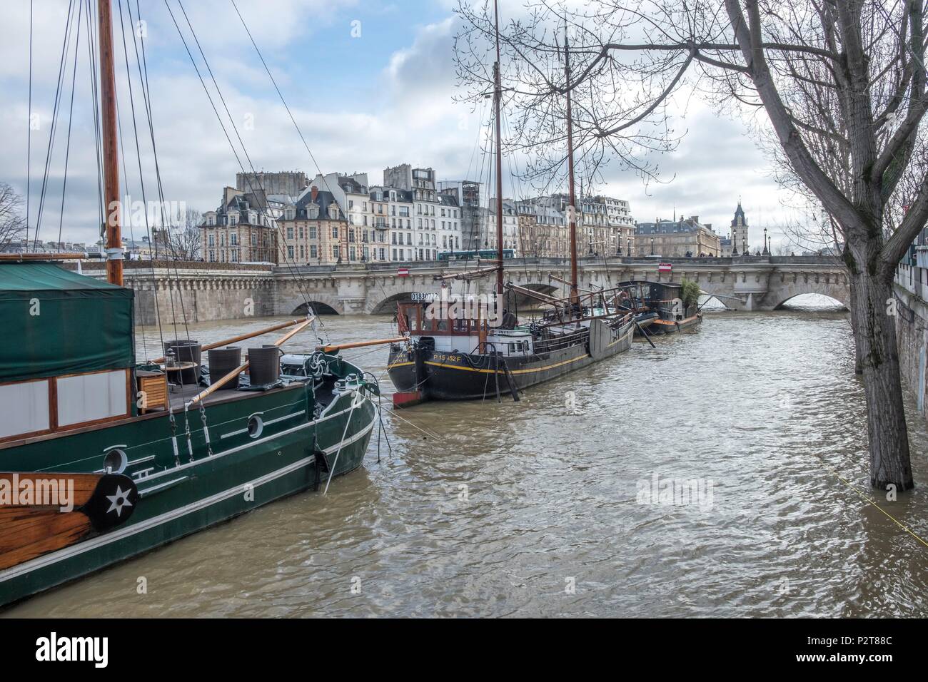 France, Paris, area listed as World Heritage by UNESCO, the flood of ...