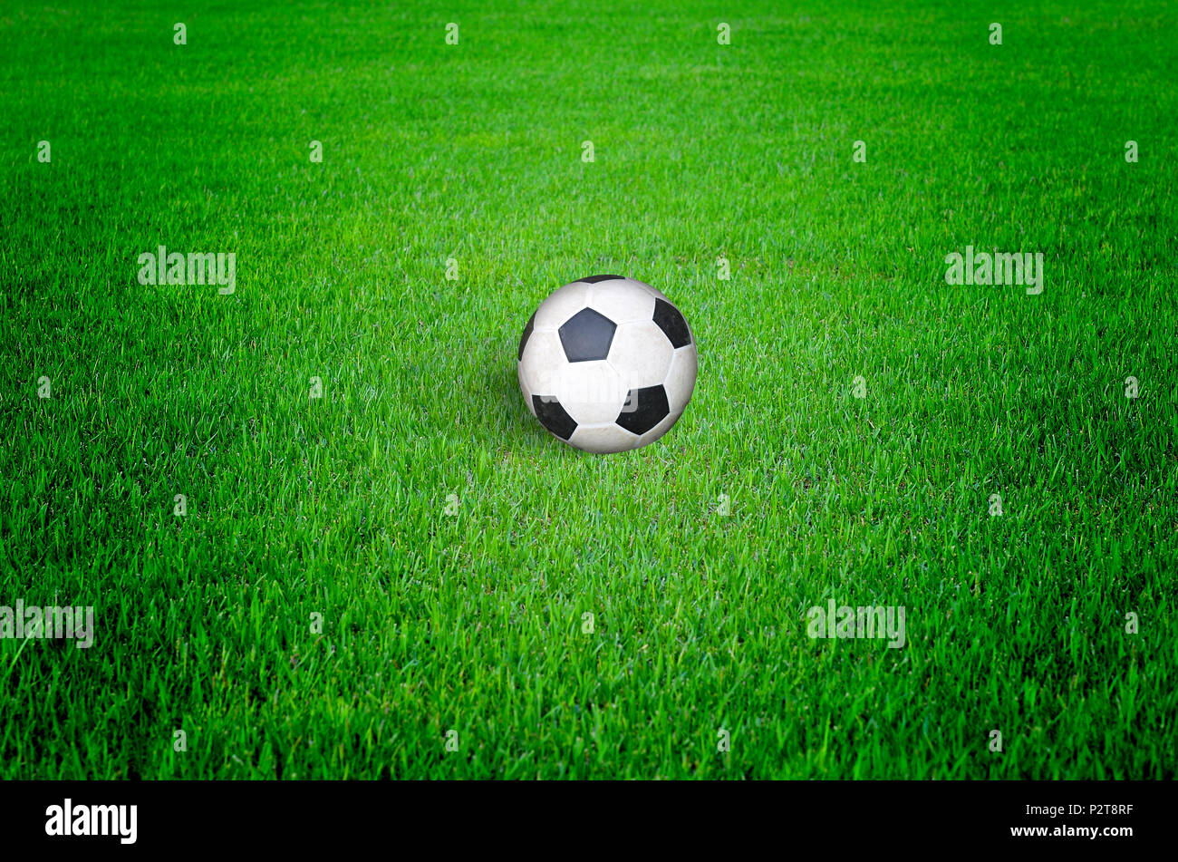 Soccer football grass field Stock Photo - Alamy