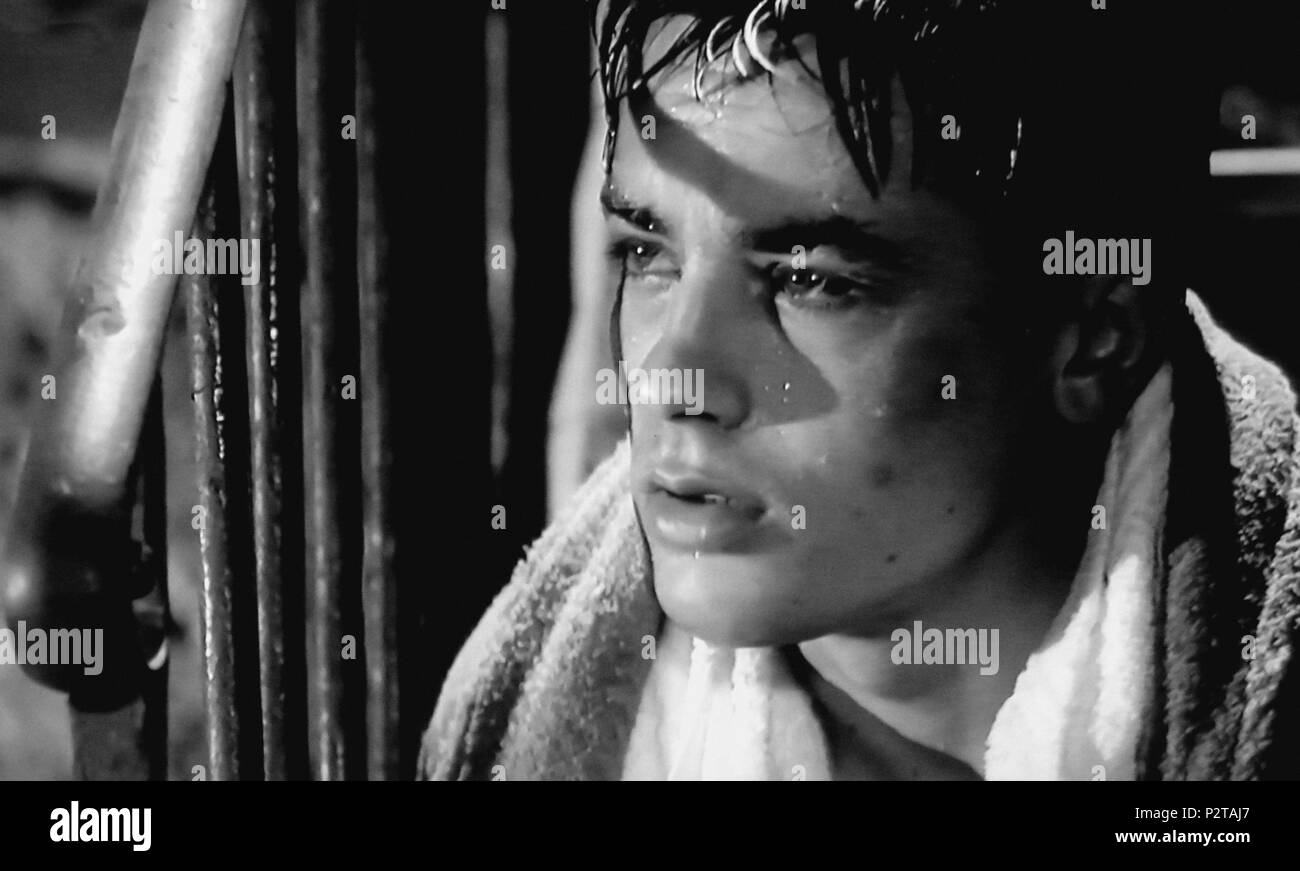 Alain delon rocco et ses hi-res stock photography and images - Alamy