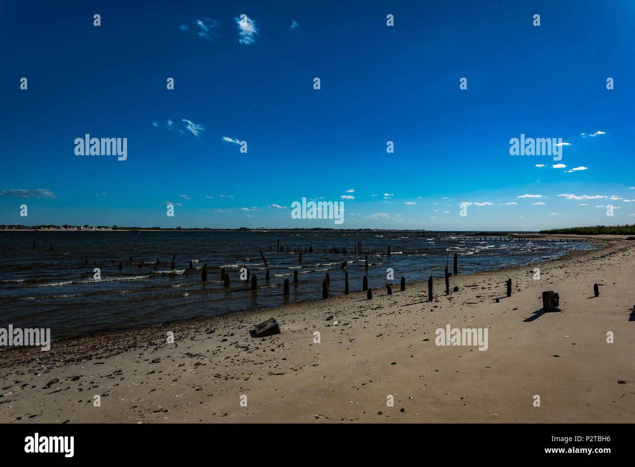 The Barren Island shore on the side of the Dead Horse Bay, also known ...