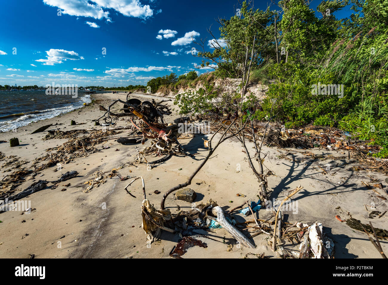 The Barren Island shore on the side of the Dead Horse Bay, also known ...