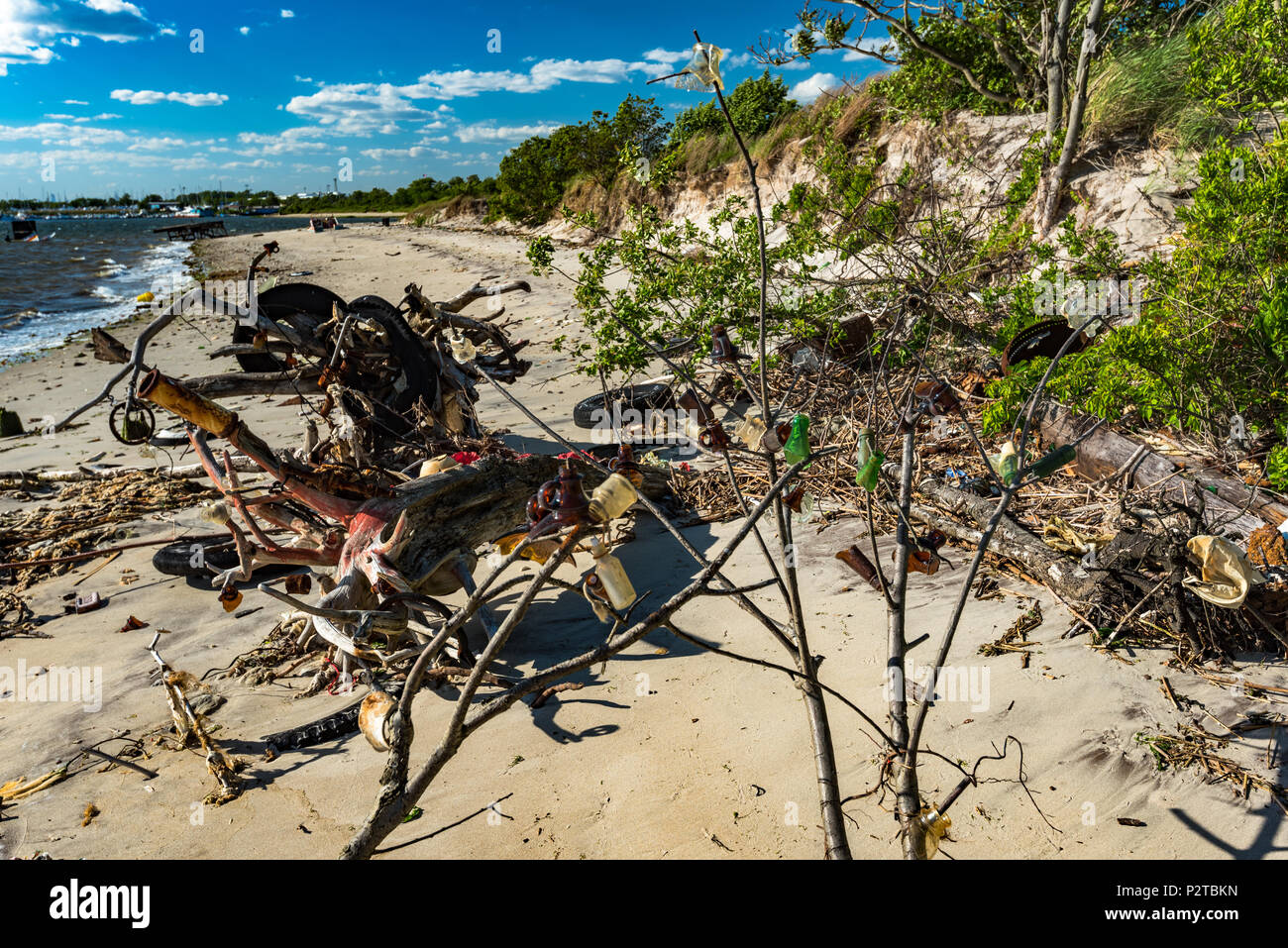 The Barren Island shore on the side of the Dead Horse Bay, also known ...