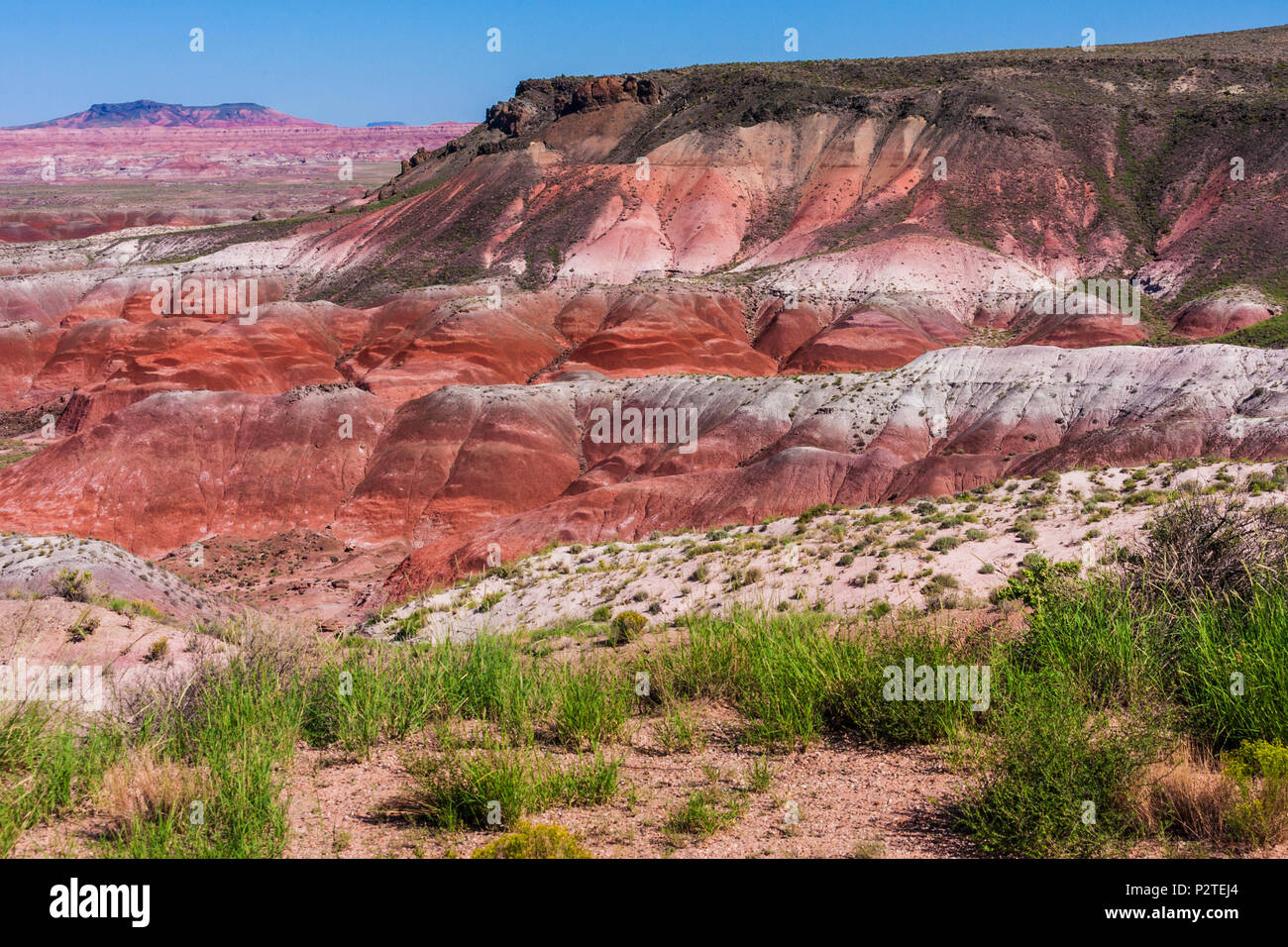 Painted Desert landscapes in the Petrified Forest National Park in ...