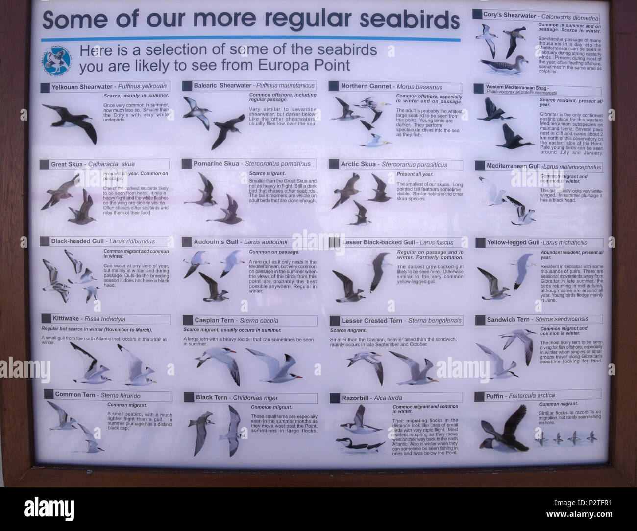 Europe continent landmarks hi-res stock photography and images - Alamy