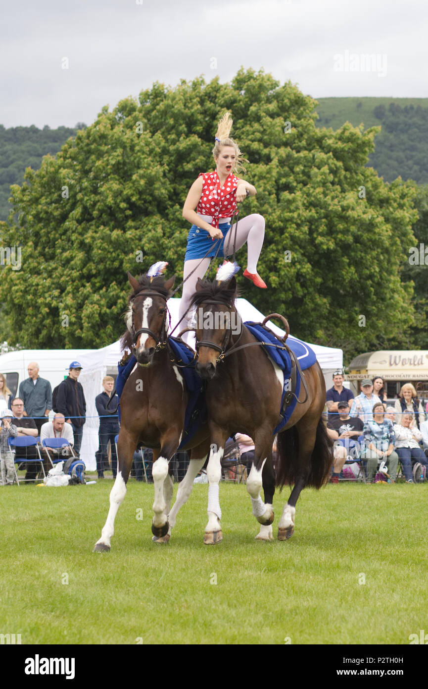 Dazzling horse display hi-res stock photography and images - Alamy