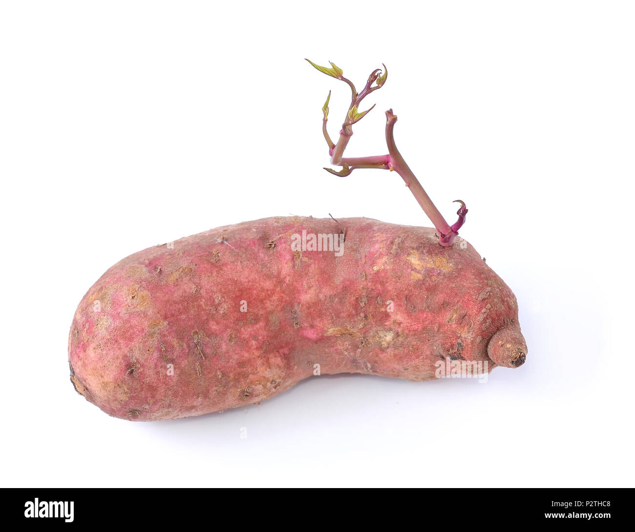 yams photographed on a white background Stock Photo - Alamy