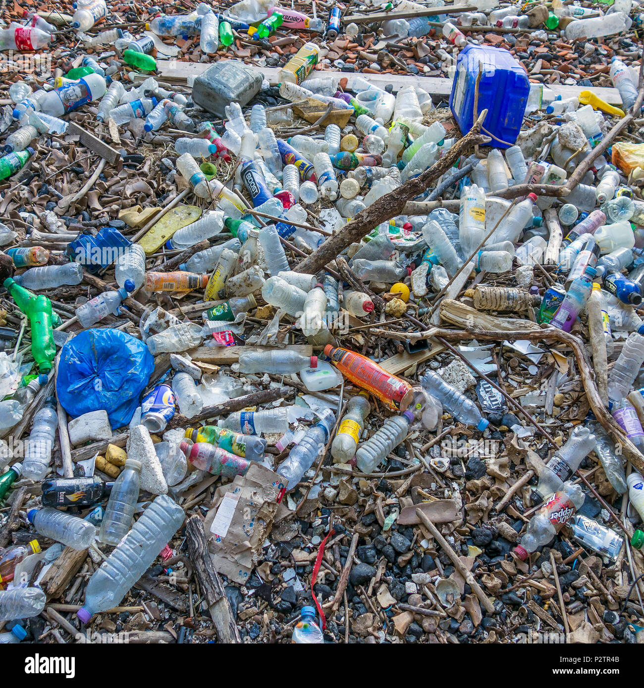 Plastic,pollution,bottles,washed up,Beach,Plastic Waste Stock Photo - Alamy