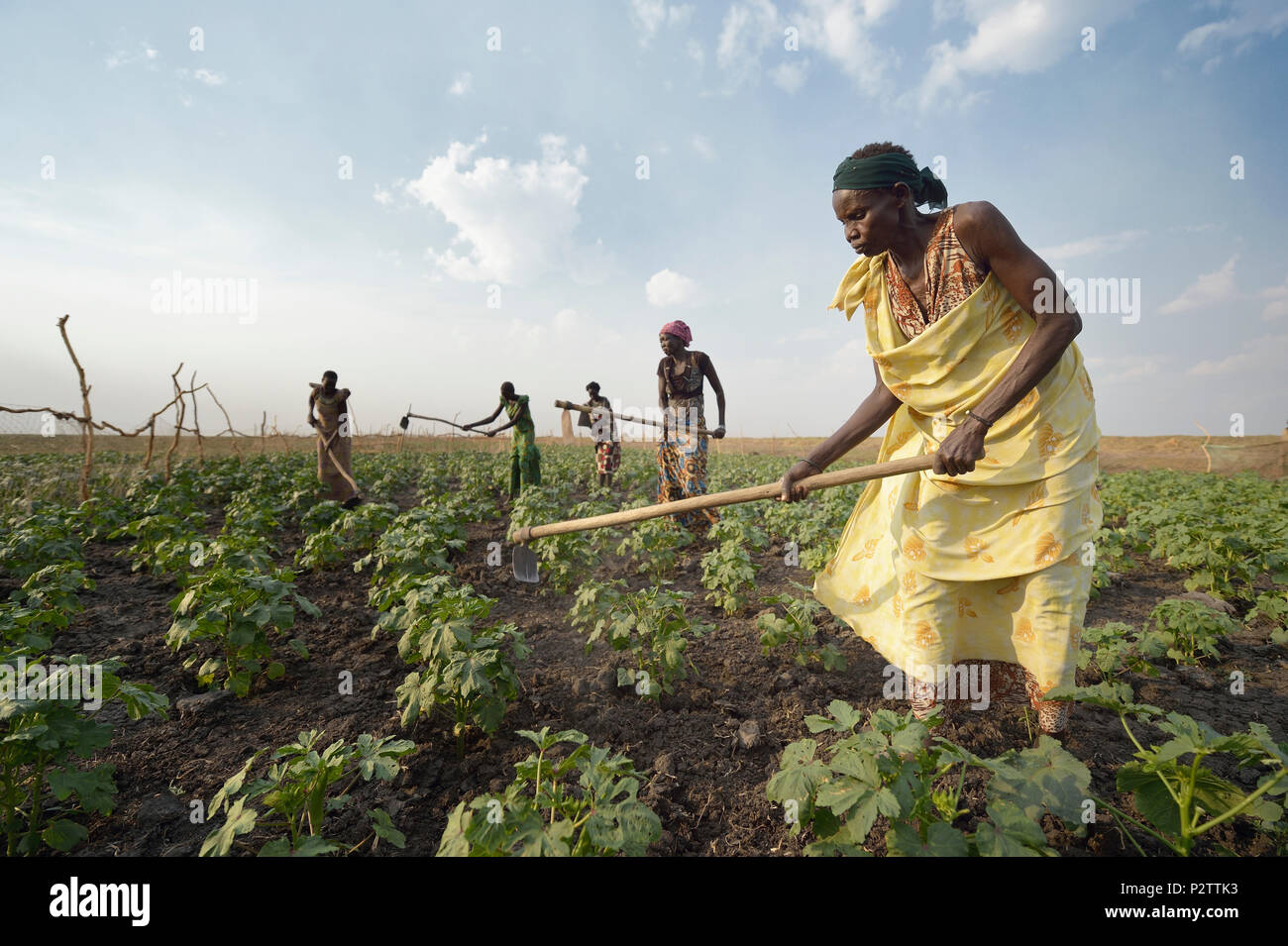 South sudan famine hi-res stock photography and images - Alamy