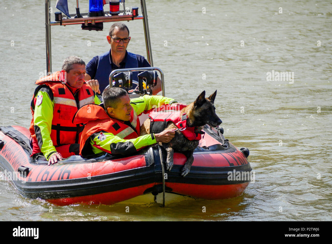 Firefighters divers attend Rescue to drowned people drill, Lyon, france ...
