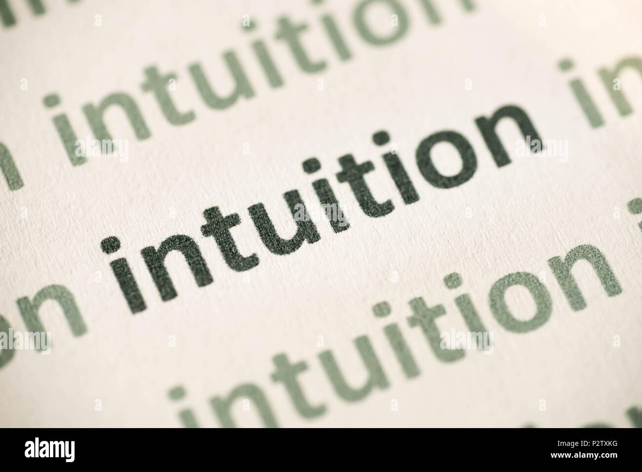 The language instinct hi-res stock photography and images - Alamy