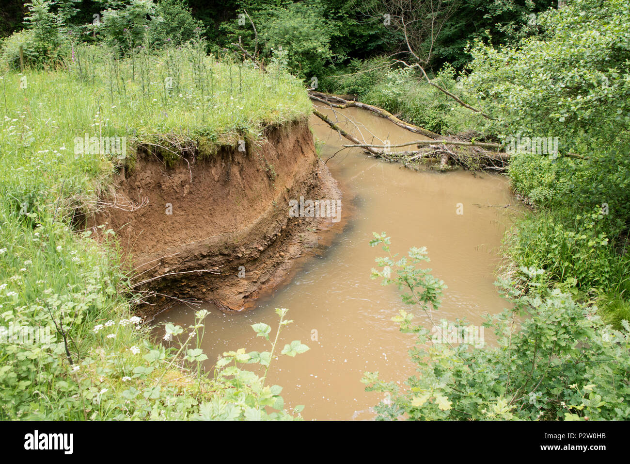 River bank erosion hi-res stock photography and images - Alamy