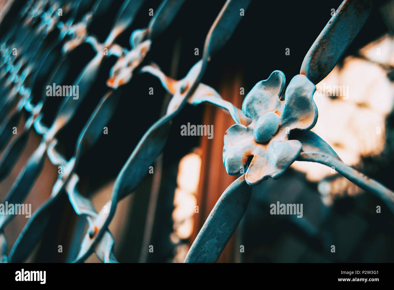 Close-up of a fence of a window with flowers made with forge Stock ...