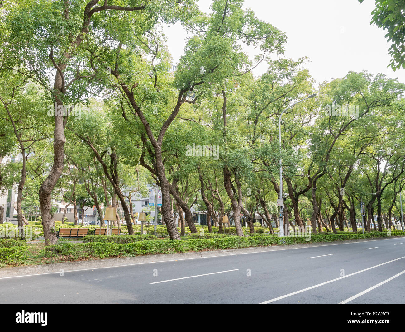 Morning view of trees and road at Taipei, Taiwan Stock Photo - Alamy