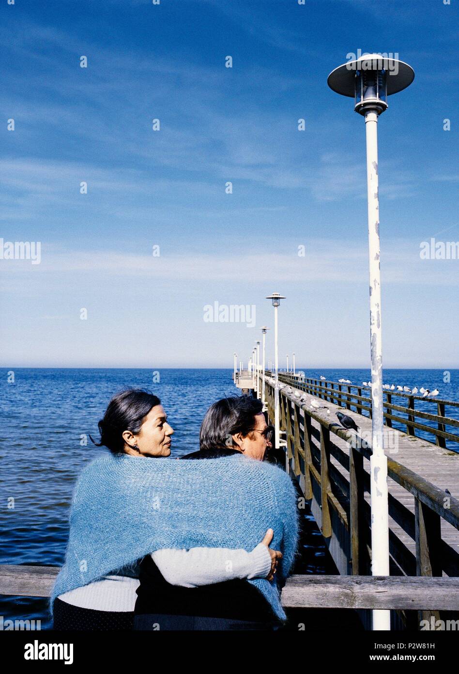 Original Film Title: KIRSCHBLUTEN-HANAMI. English Title: CHERRY ...