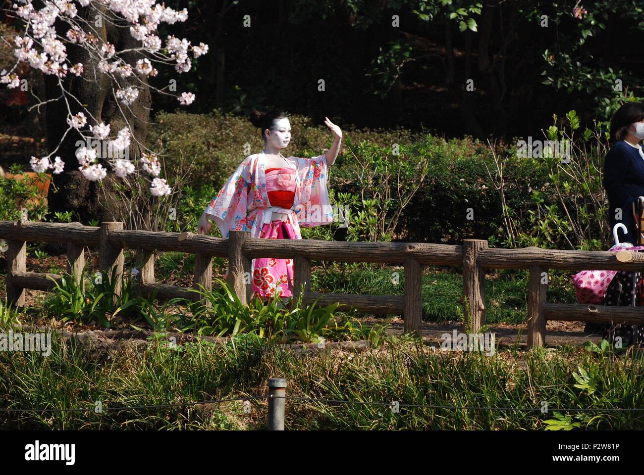 Original Film Title: KIRSCHBLUTEN-HANAMI. English Title: CHERRY ...