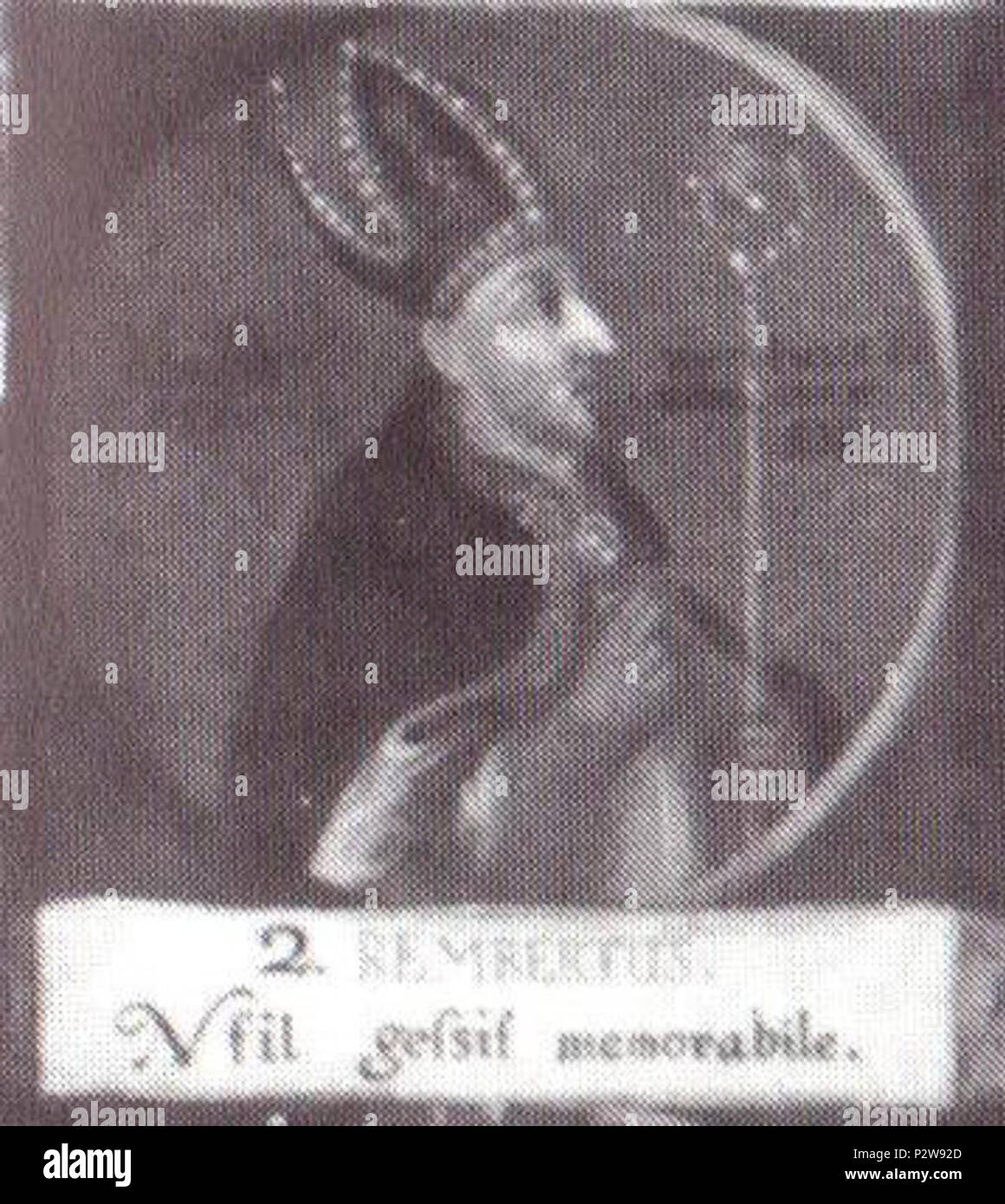 Rembert hi-res stock photography and images - Alamy