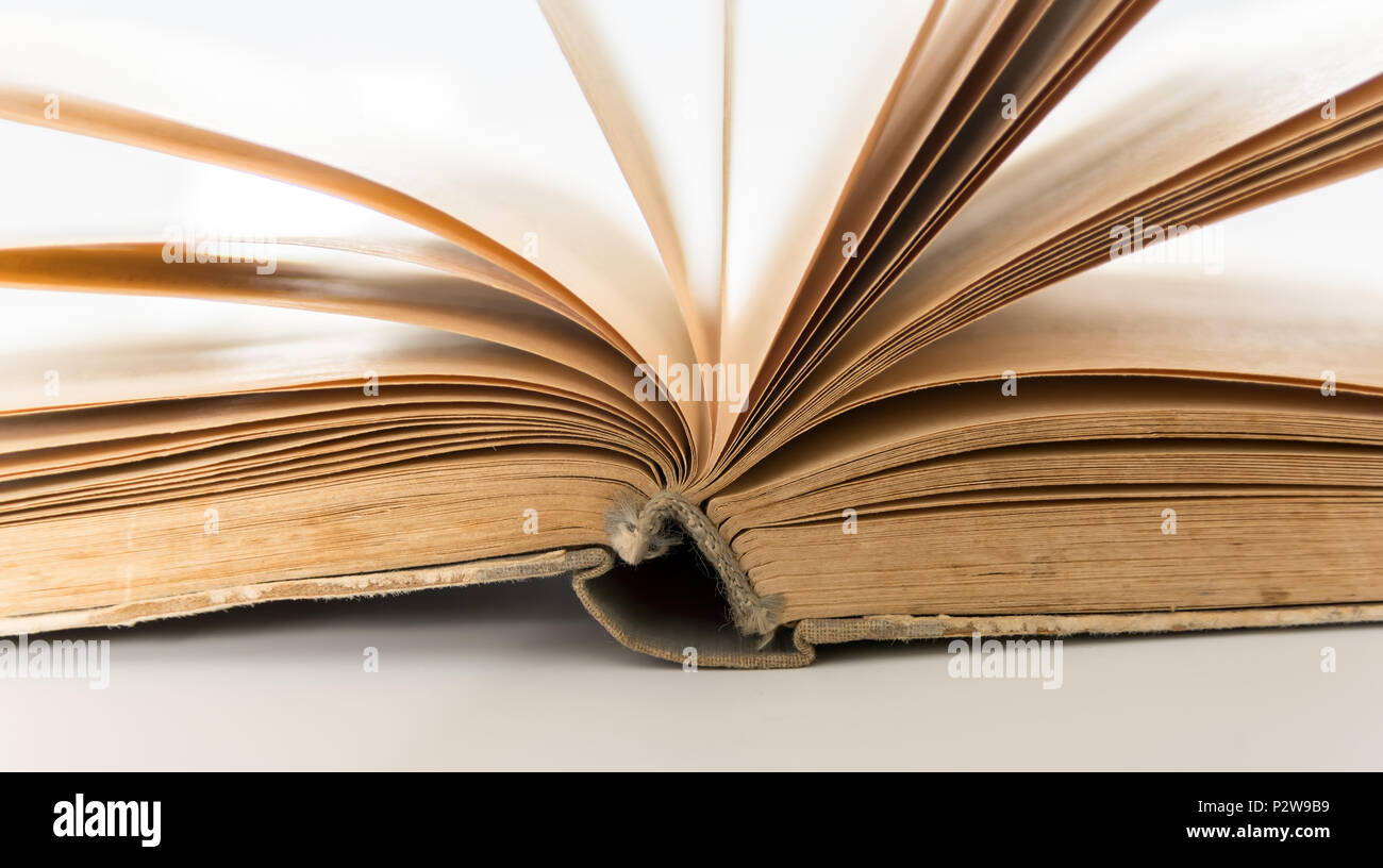 Opened book pages on white background closeup. Love read concept ...