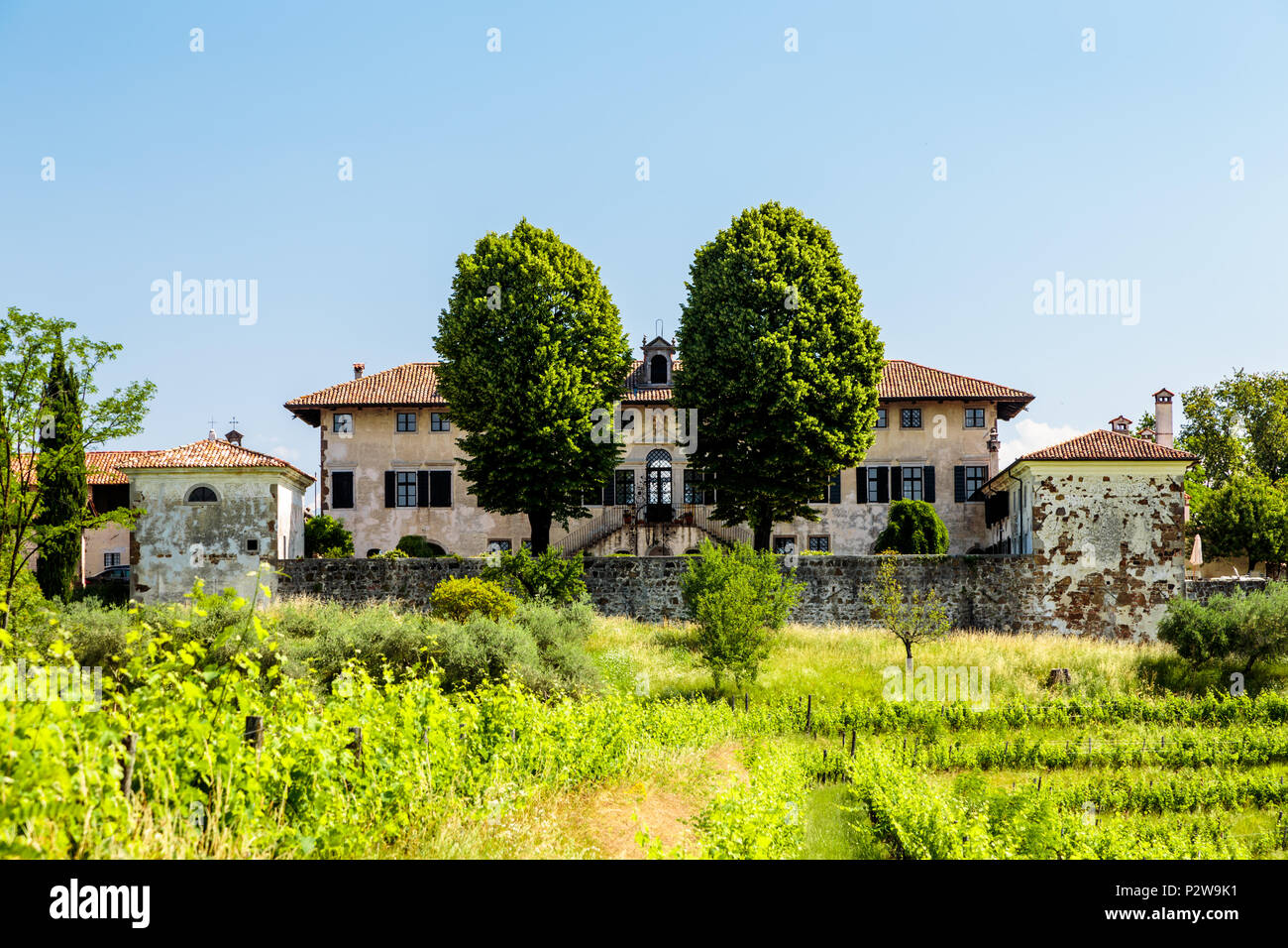 Friuli venezia giulia fruit hi-res stock photography and images - Alamy