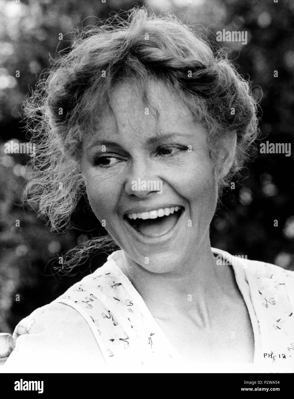 Sally Steele's Instagram, Twitter & Facebook on IDCrawl