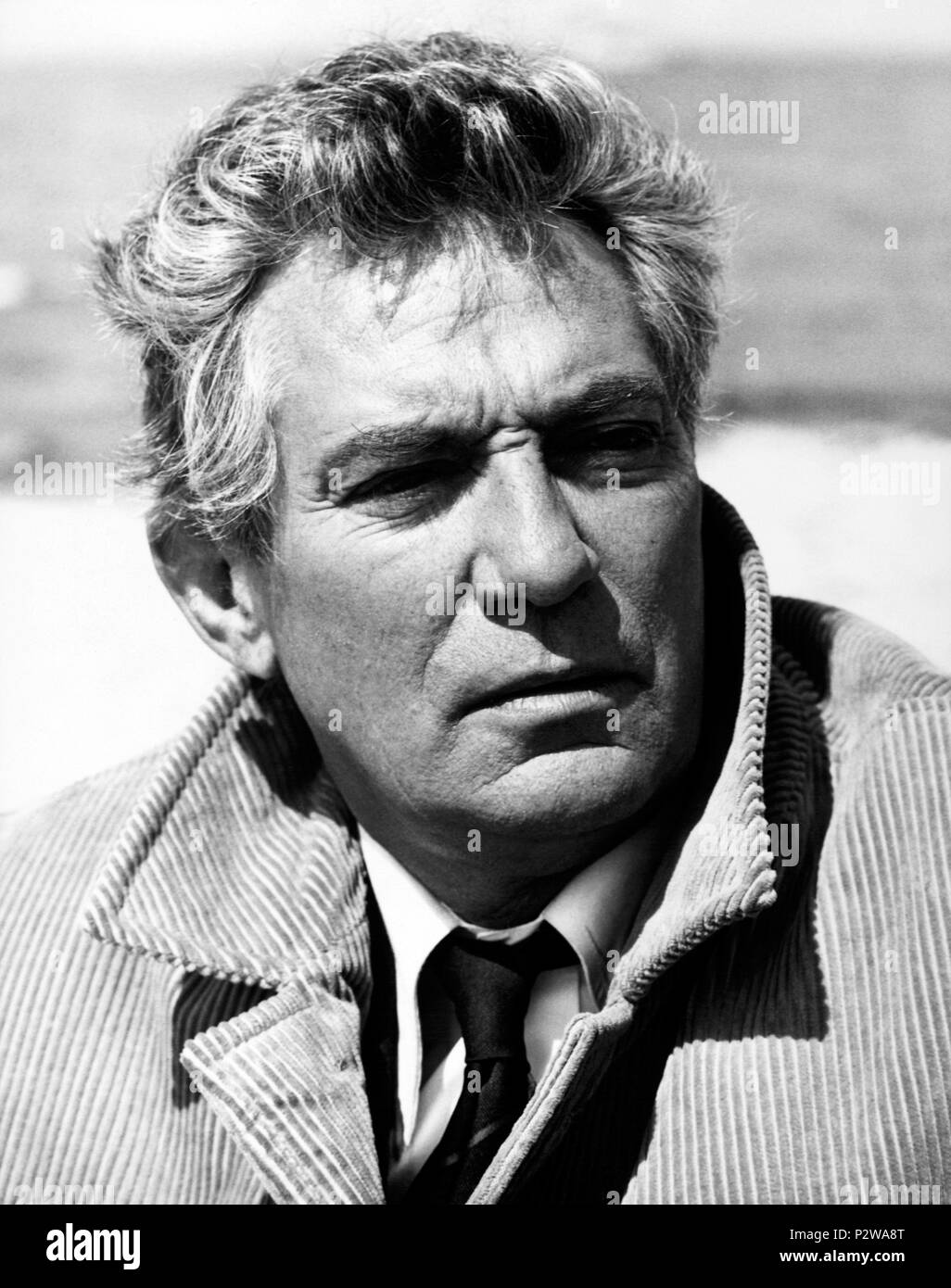 Stars: PETER FINCH Stock Photo - Alamy