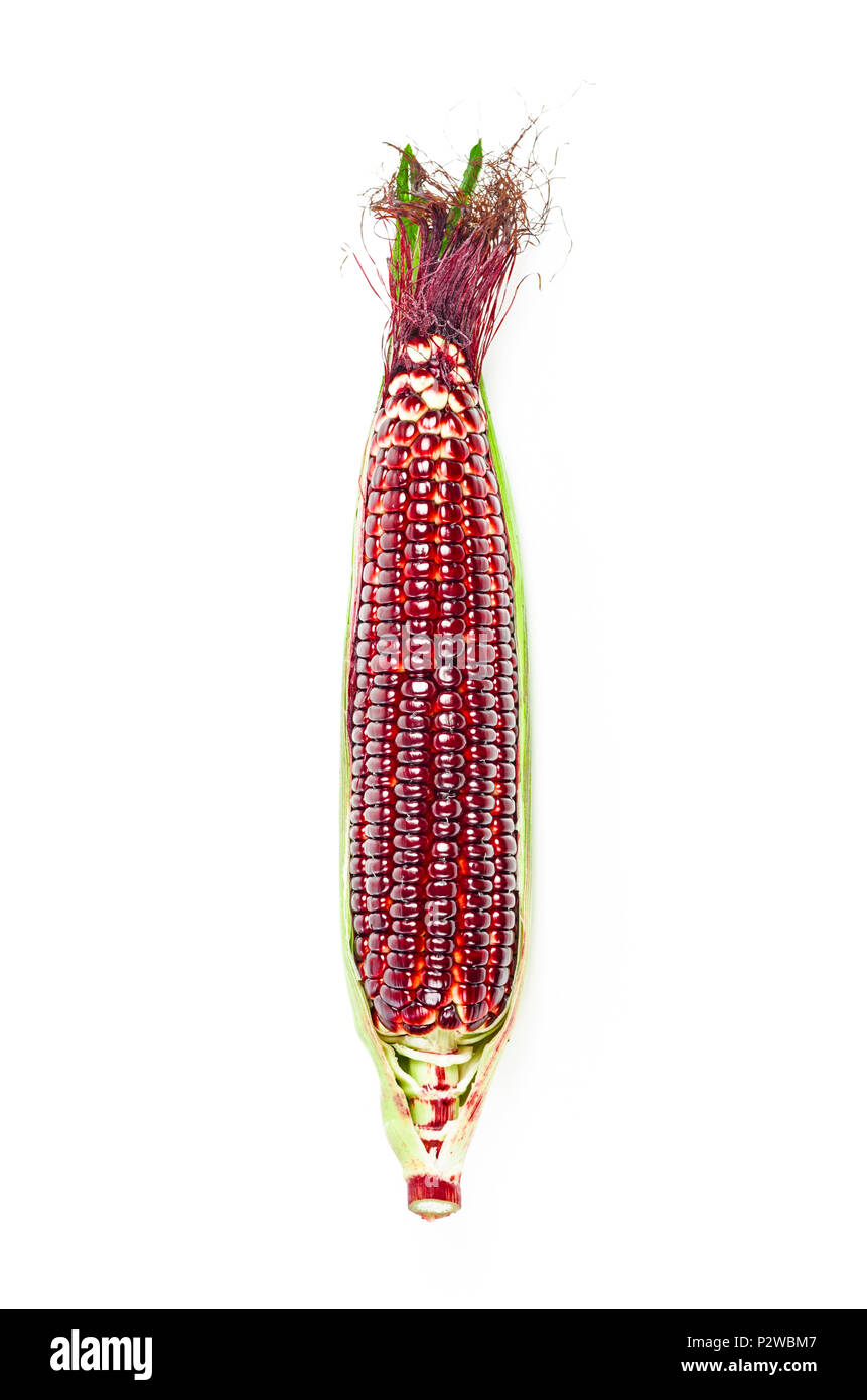 Fresh red corn isolated on white background Stock Photo - Alamy