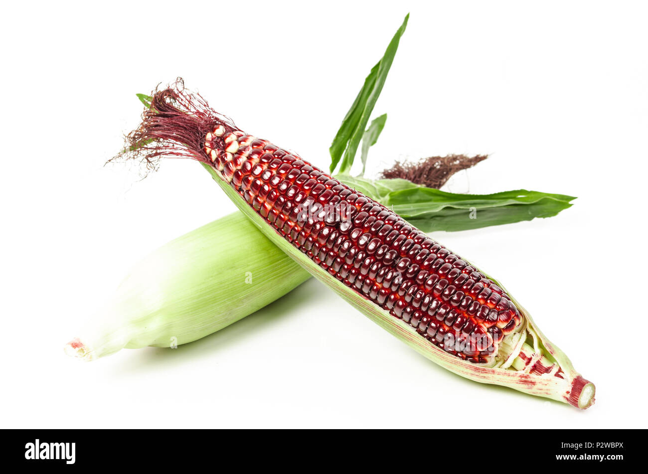 Fresh red corn isolated on white background Stock Photo - Alamy