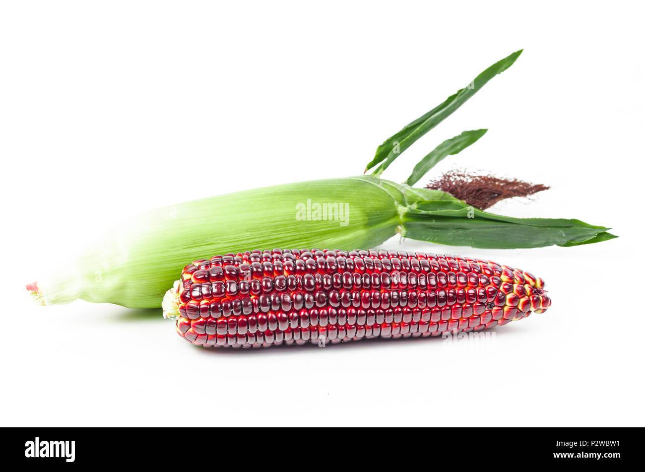 Fresh red corn isolated on white background Stock Photo - Alamy