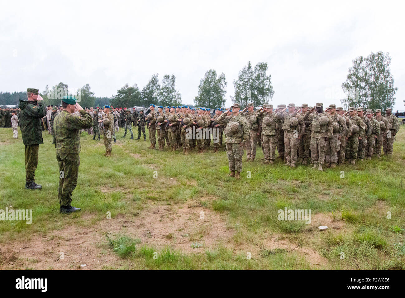 41st division review hi-res stock photography and images - Alamy