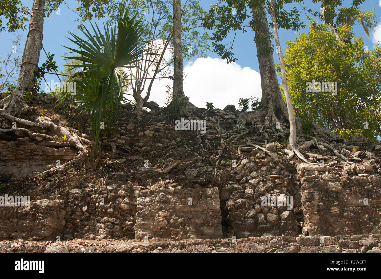 Coba, Yucatan, Mexico Stock Photo - Alamy