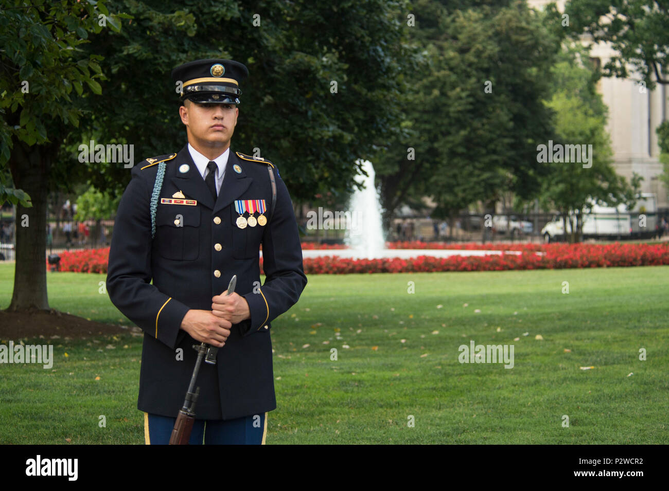 Army soldier in parade rest hi-res stock photography and images - Alamy