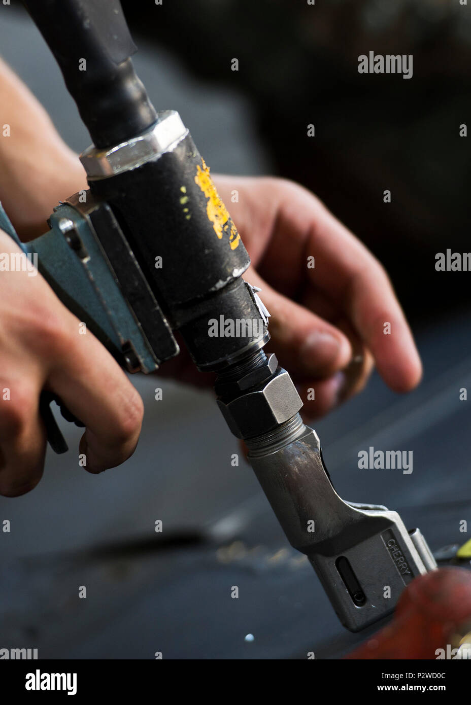 Yellow wing patches hi-res stock photography and images - Alamy