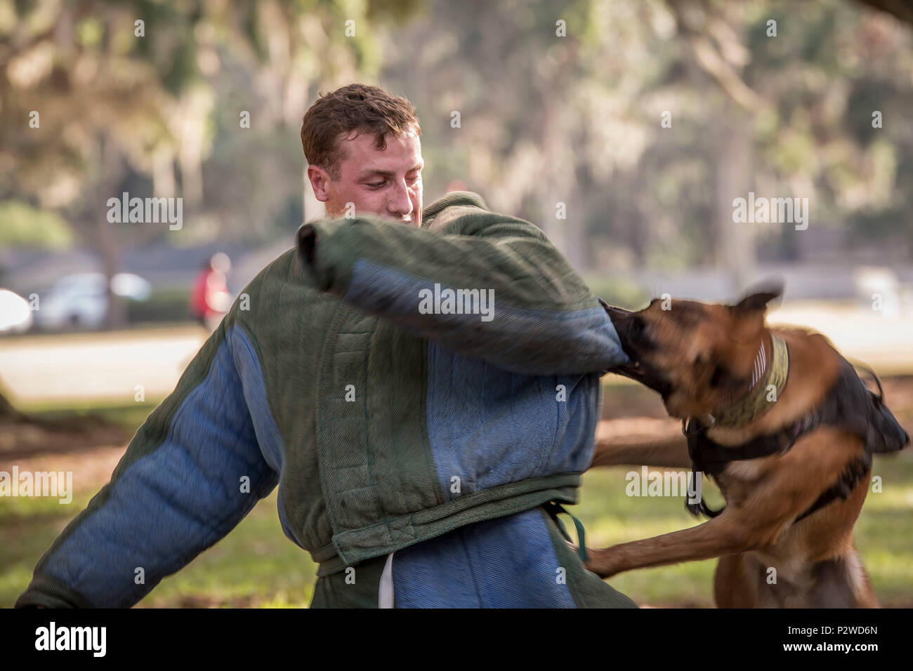 Cpl. Daniel Moriarty wears the bite suit to demonstrate patrol ...