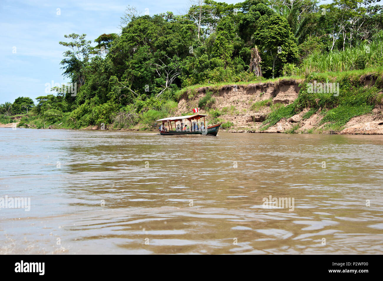Working villagers travel along the amazon river in long boats and ...