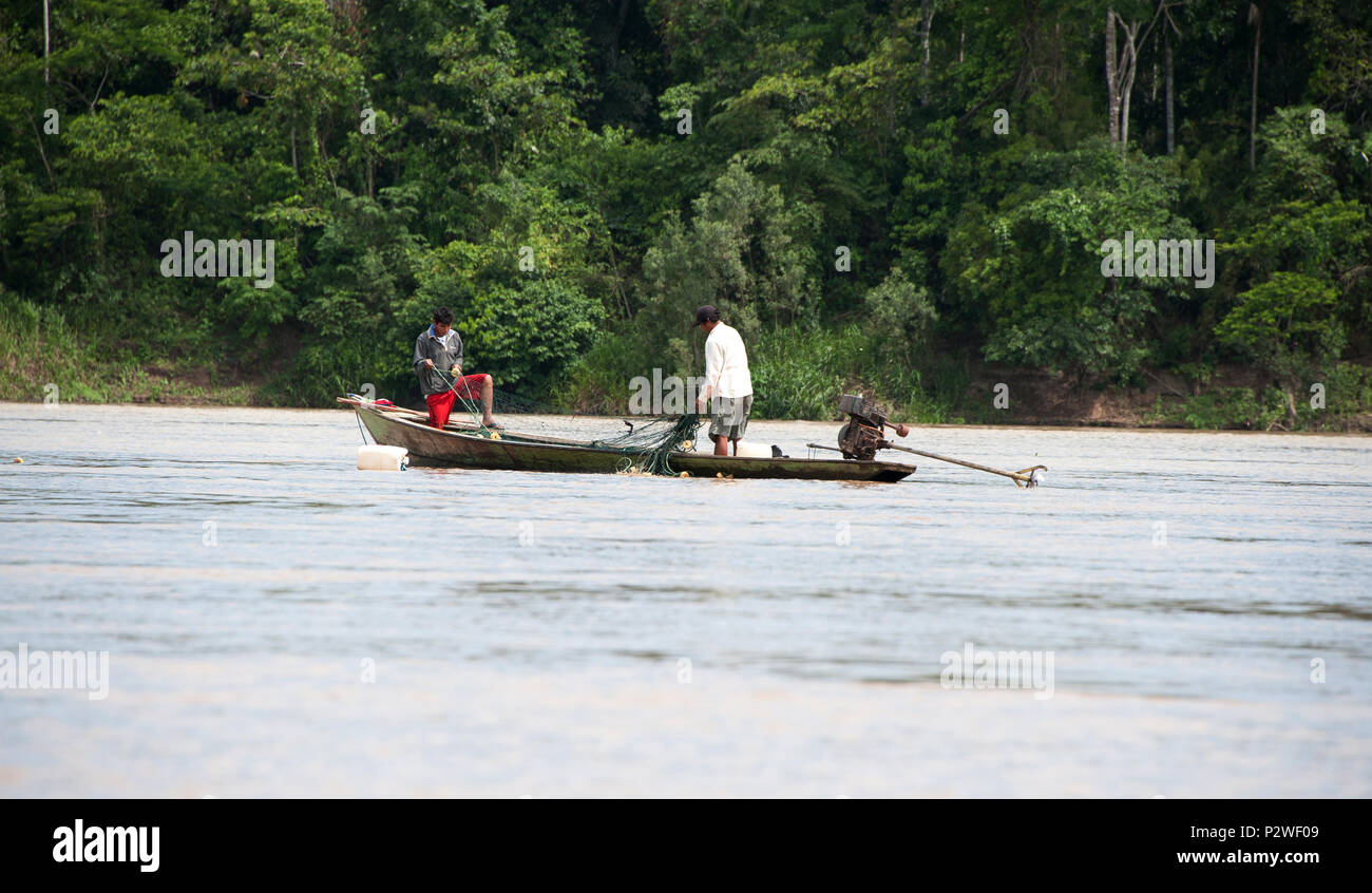 Working villagers travel along the amazon river in long boats and ...